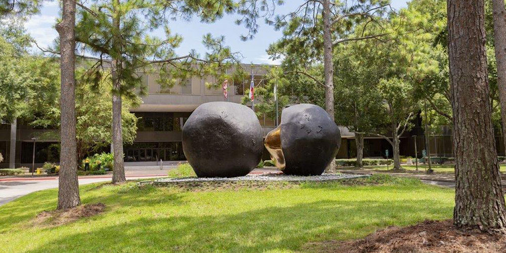 Discover the Benefits of Giving Wisely | University of Houston-Clear Lake